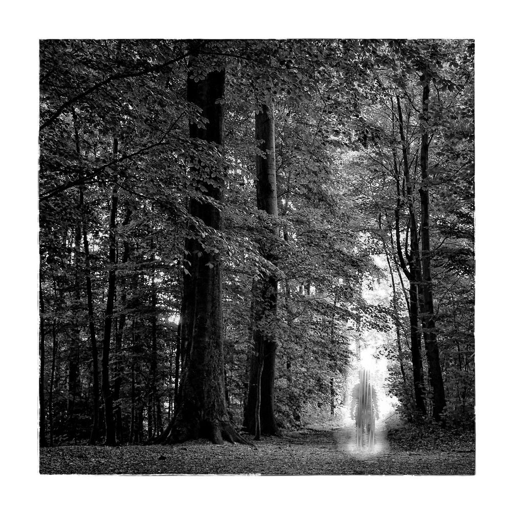 - sphere - Foto & Bild | fotokunst, monochrome fine art, monochrom Bilder auf fotocommunity