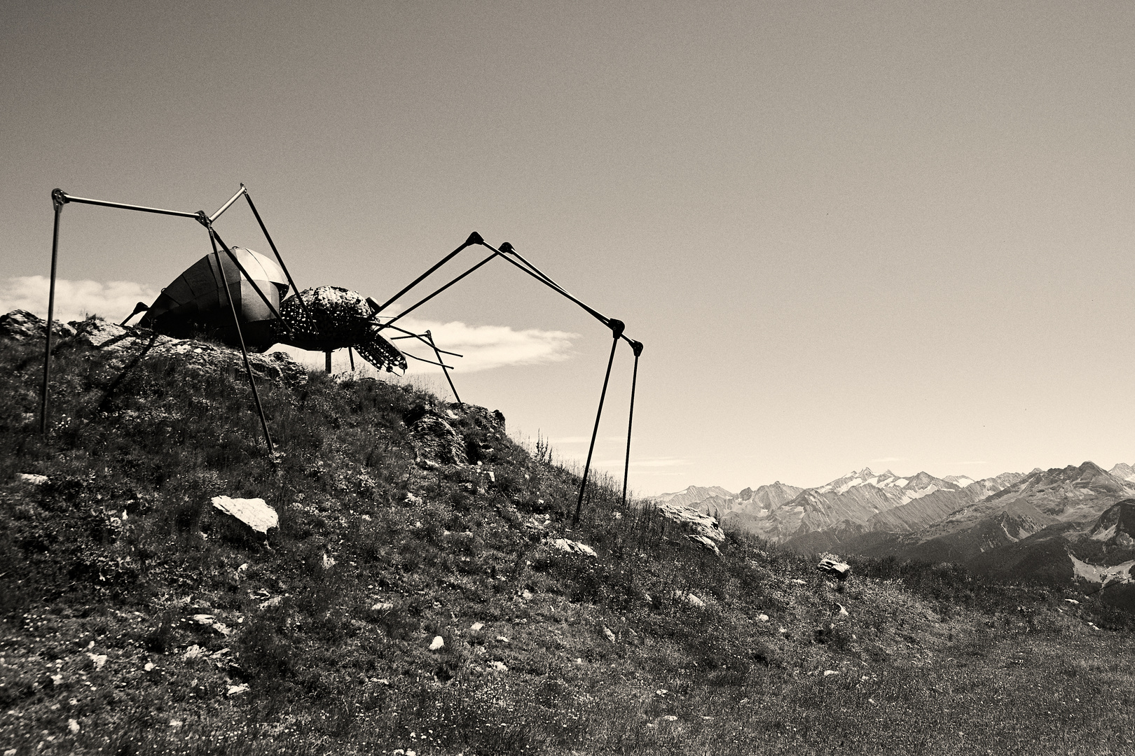 Spider Foto & Bild | monochrom, bearbeitungs - techniken, white Bilder auf fotocommunity