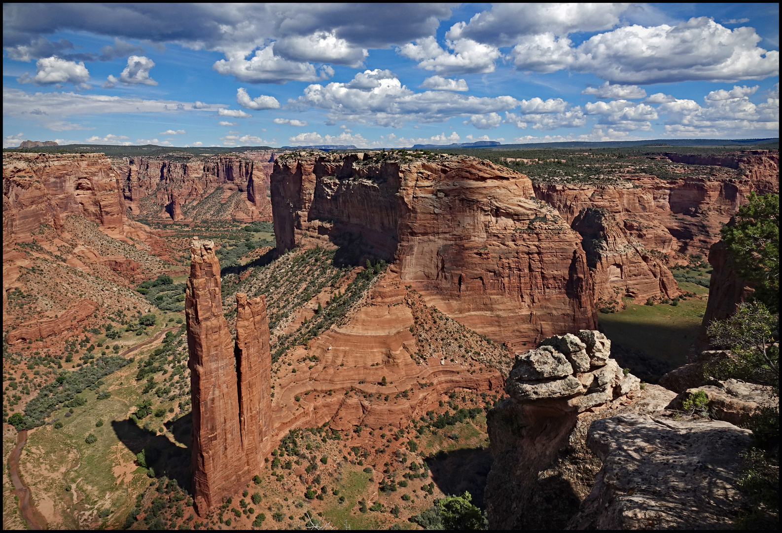 Spider Woman once more Foto & Bild | north america, united states ...