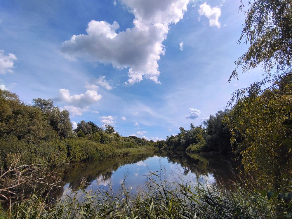 spiegelnde Sommeridylle Foto & Bild | spezial, sommer, wasser Bilder ...