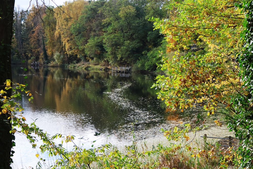 Spiegeltag Foto & Bild | landschaft, jahreszeiten, herbst Bilder auf fotocommunity