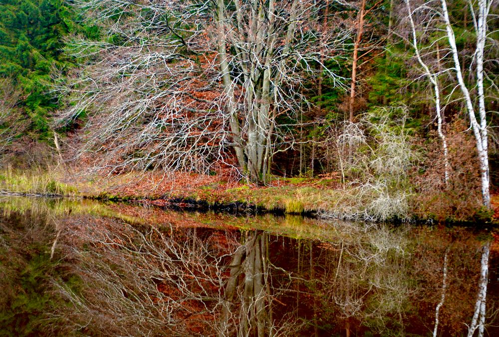 Spiegelung Foto & Bild | landschaft, jahreszeiten, herbst Bilder auf fotocommunity