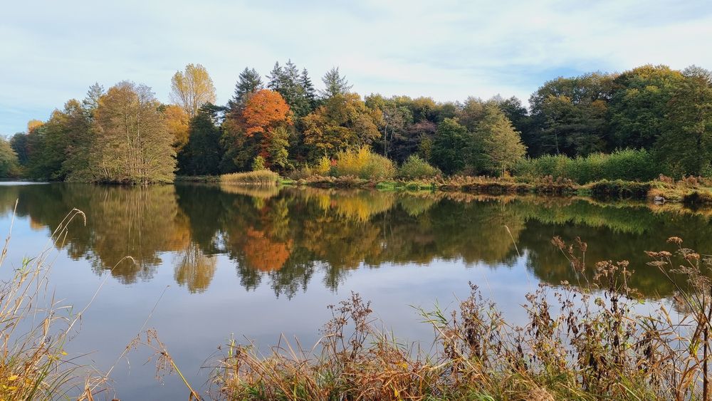 Spiegelung Foto & Bild | landschaft, jahreszeiten, fotos Bilder auf fotocommunity