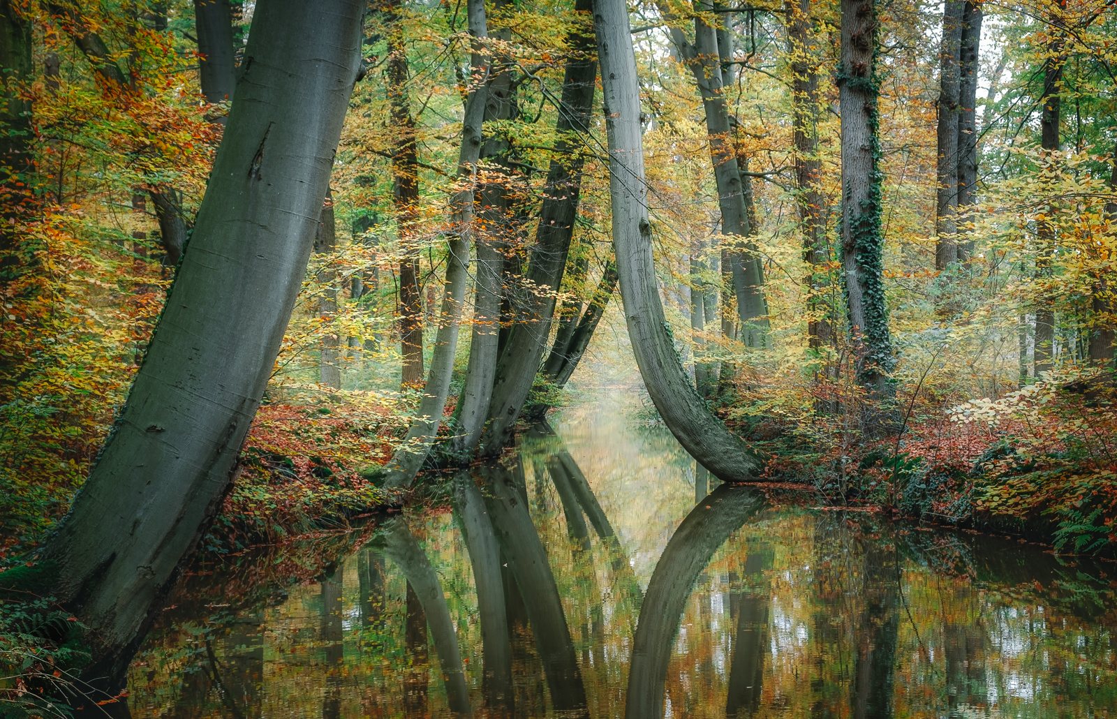 Spiegelung Foto & Bild | landschaft, jahreszeiten, herbst Bilder auf fotocommunity