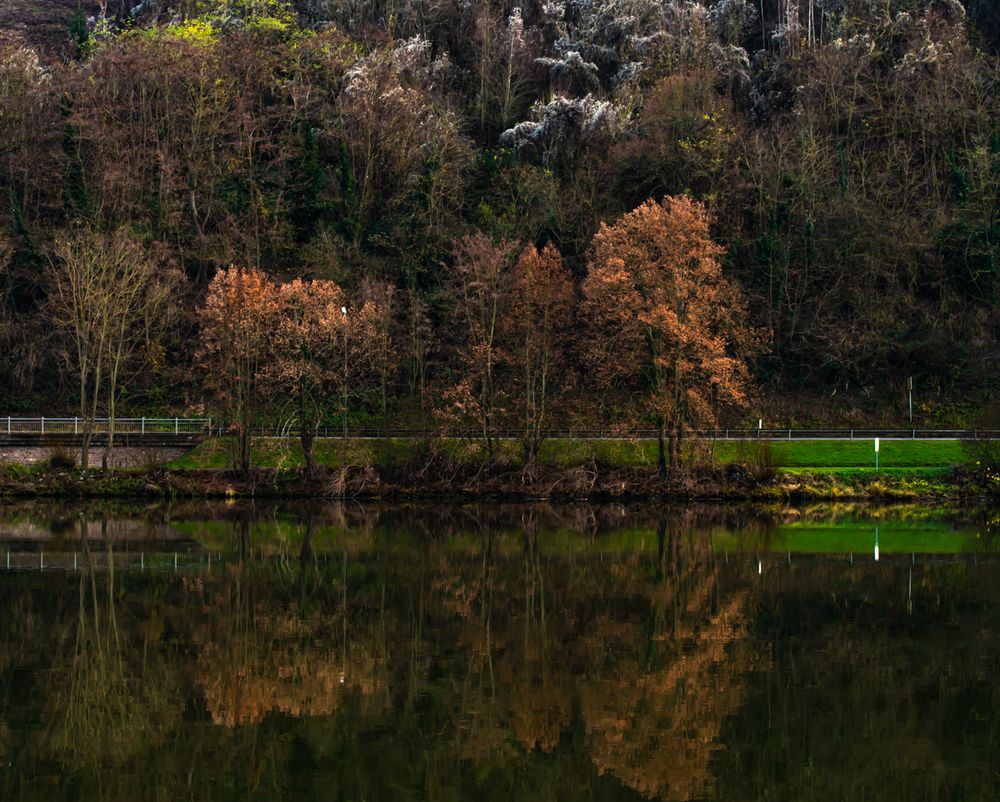 Spiegelung der letzten bunten Blätter im Fluss 0086-7 Foto & Bild | landschaft, jahreszeiten ...