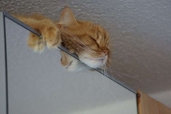 Thomas Heyder - Fotos & Bilder - Fotograf aus Panketal, Deutschland ...