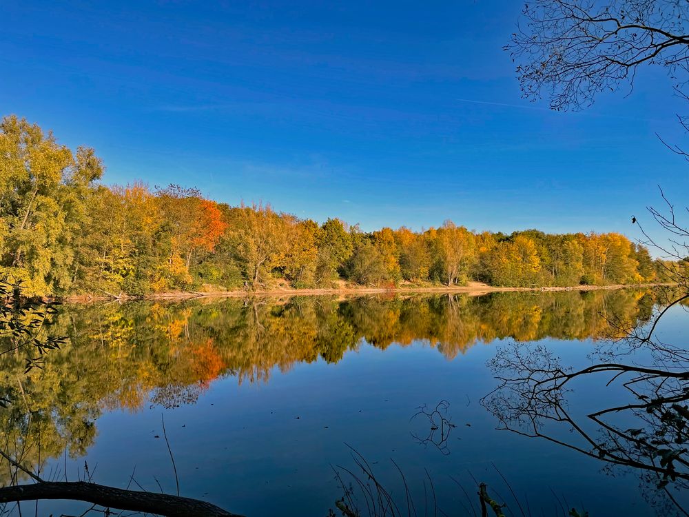 Spiegelung im Herbst Foto & Bild | jahreszeiten, herbst, natur Bilder auf fotocommunity