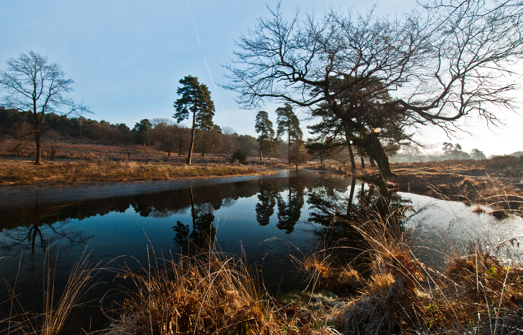 Spiegelung im Naturschutzgebiet Wahner Heide Foto & Bild | spezial ...