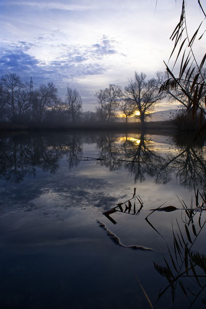 Spiegelungen im See Foto & Bild | fotos, bäume, sonne Bilder auf ... Spiegelungen im See Foto & Bild | fotos, bäume, sonne Bilder auf ...
