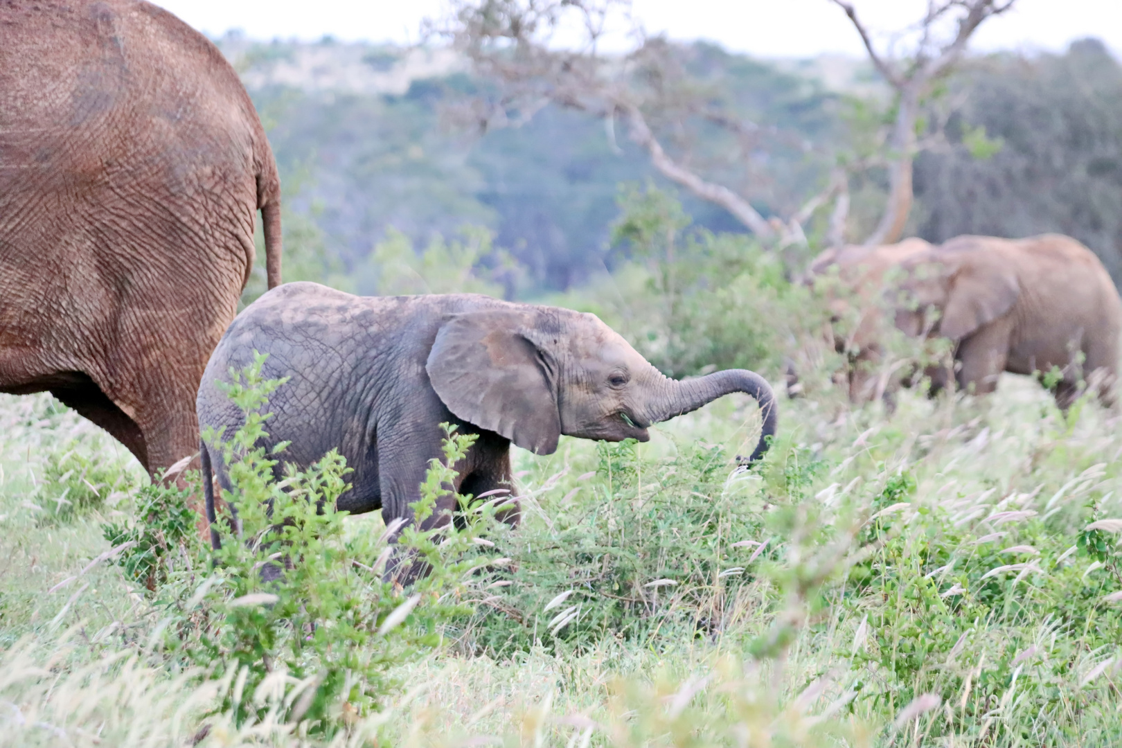 spielen macht hungrig :-) Foto & Bild | natur, afrika, tiere Bilder auf ...