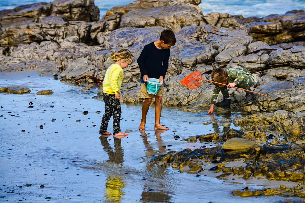 Spielende Kinder an der Scarborough Beach DSC_5001 Foto & Bild | kinder ...