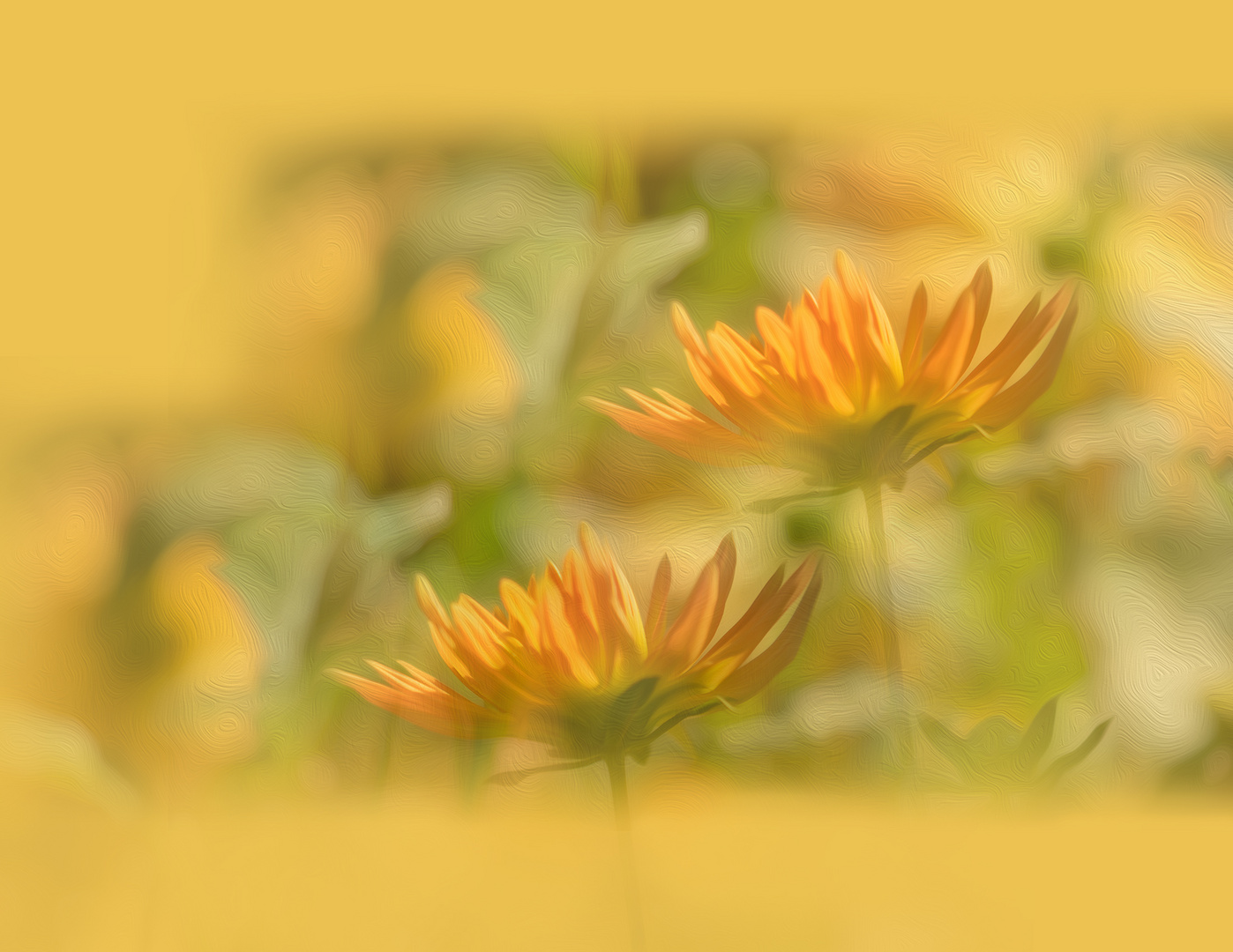 Spielerei - weil es so viel Spaß macht Foto & Bild | pflanzen, pilze ...