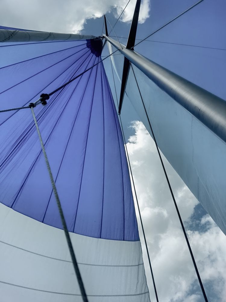 Spinnaker Foto & Bild | segeln, wasser, himmel Bilder auf fotocommunity