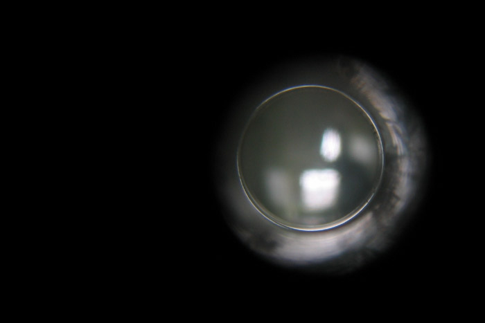 spion Foto & Bild | experimente, youth Bilder auf fotocommunity