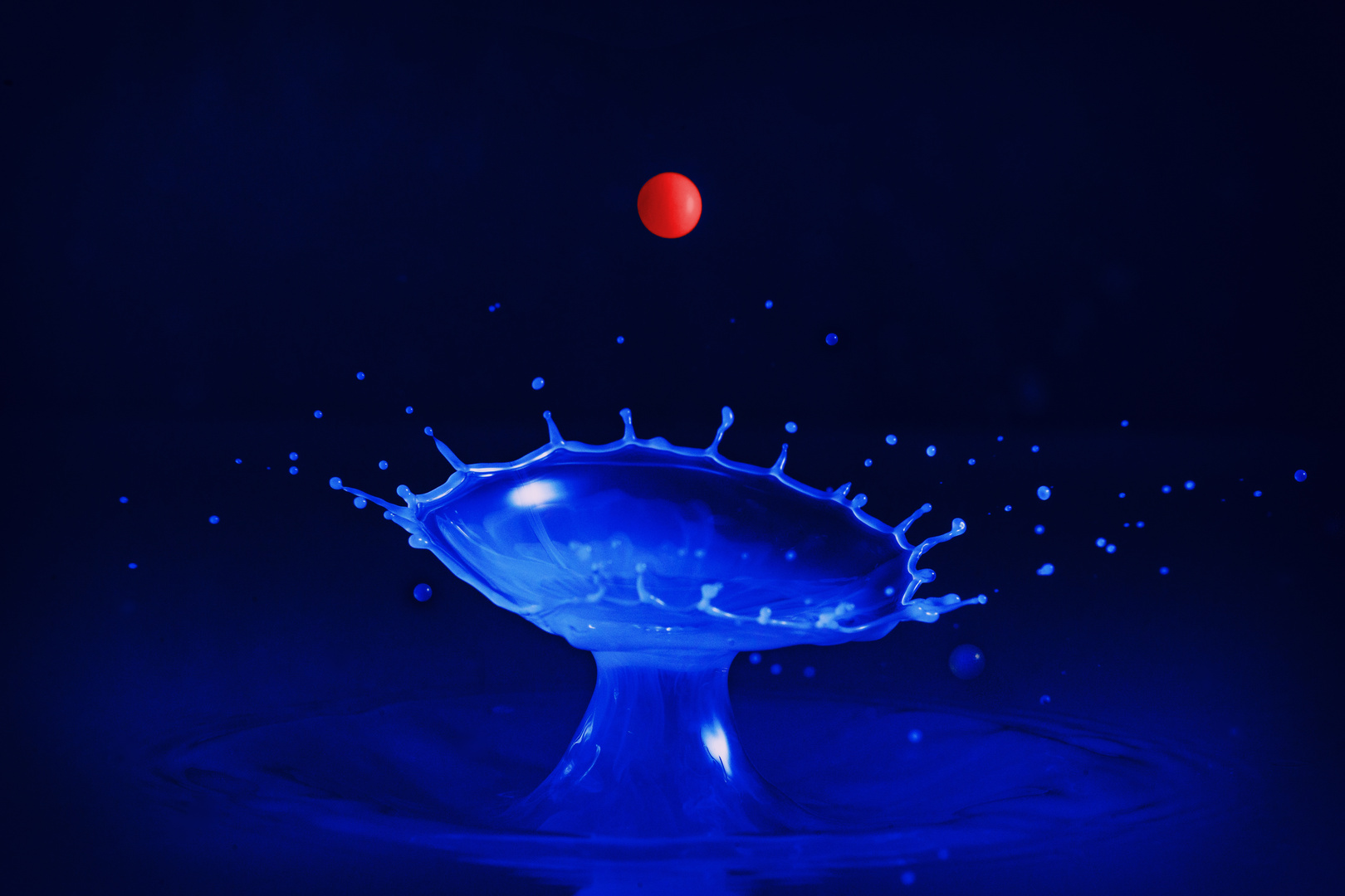 Splash One Foto & Bild | experimente, stillleben, techniken Bilder auf ...