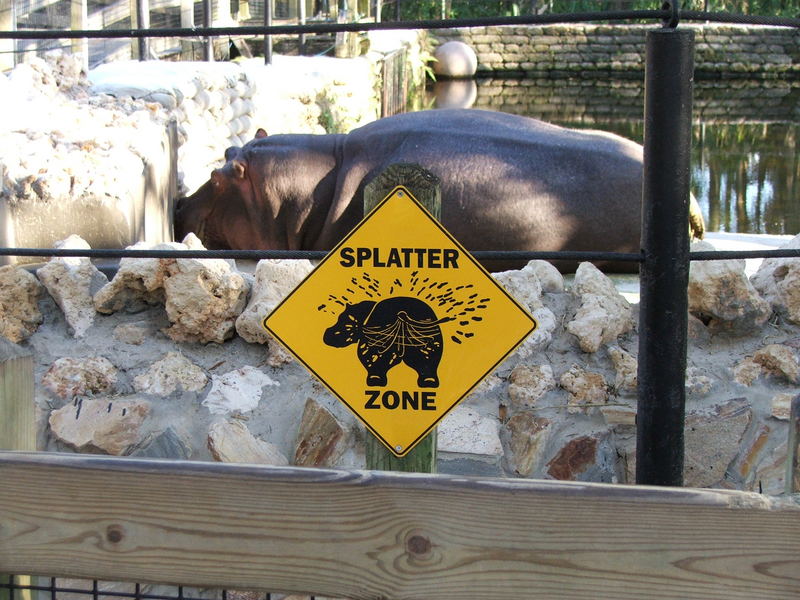 Splatter Zone Foto & Bild | tiere, zoo, wildpark & falknerei ...