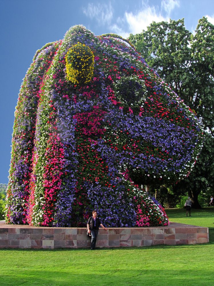 Split-Rocker Foto & Bild | kunstfotografie & kultur, blumen, motive ...