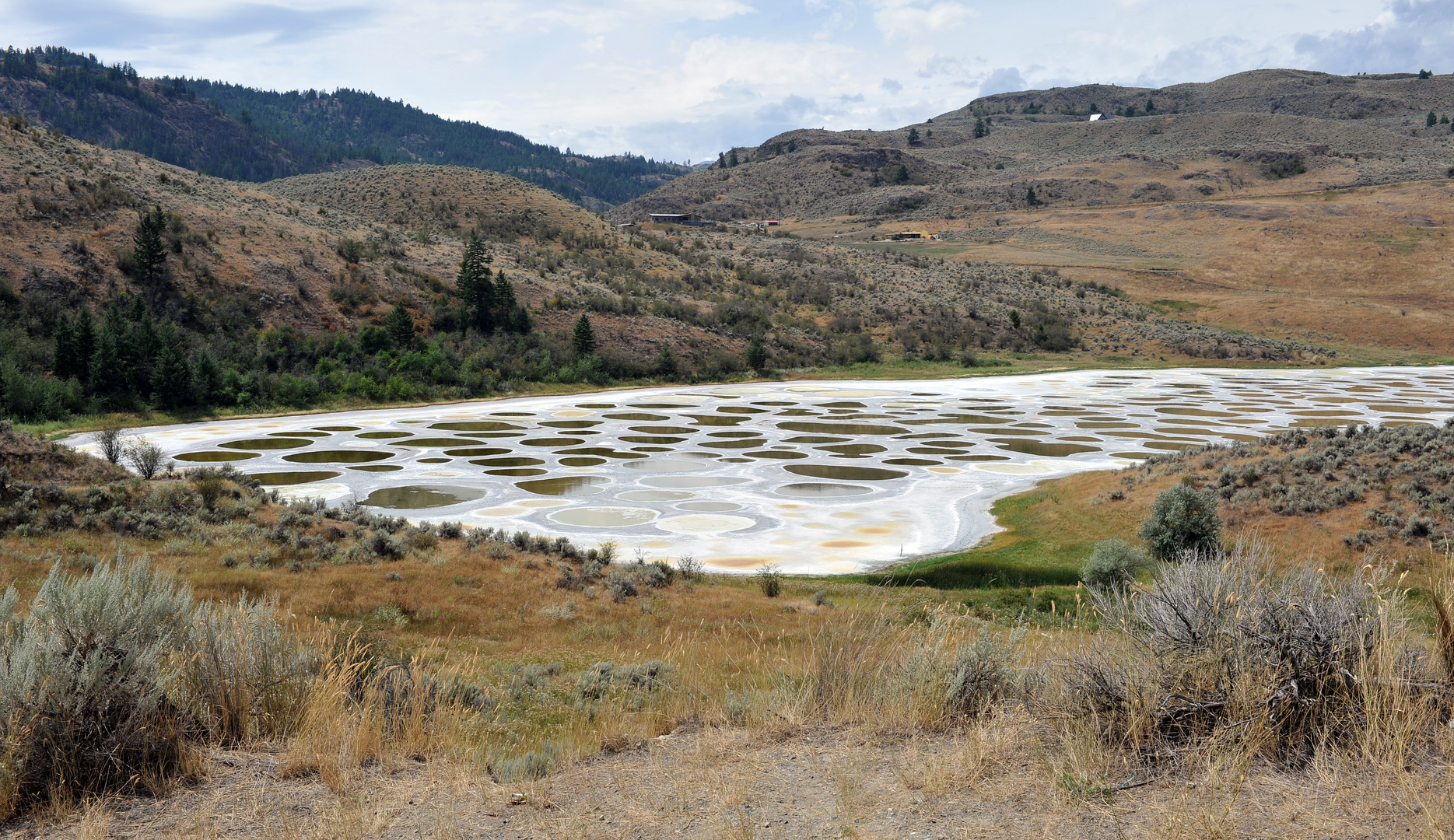 Spotted Lake Foto & Bild | north america, canada, the west Bilder auf ...