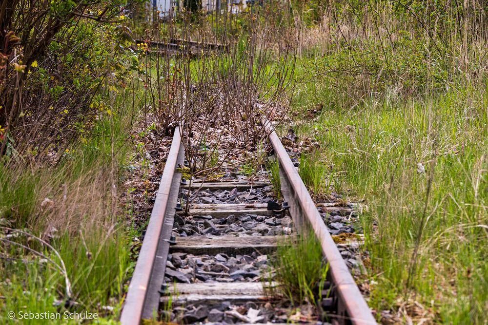 Spreepark Im Wandel Der Zeit 2023 VIII Foto Bild Deutschland spreepark-im-wandel-der-zeit-2023-viii-foto-bild-deutschland