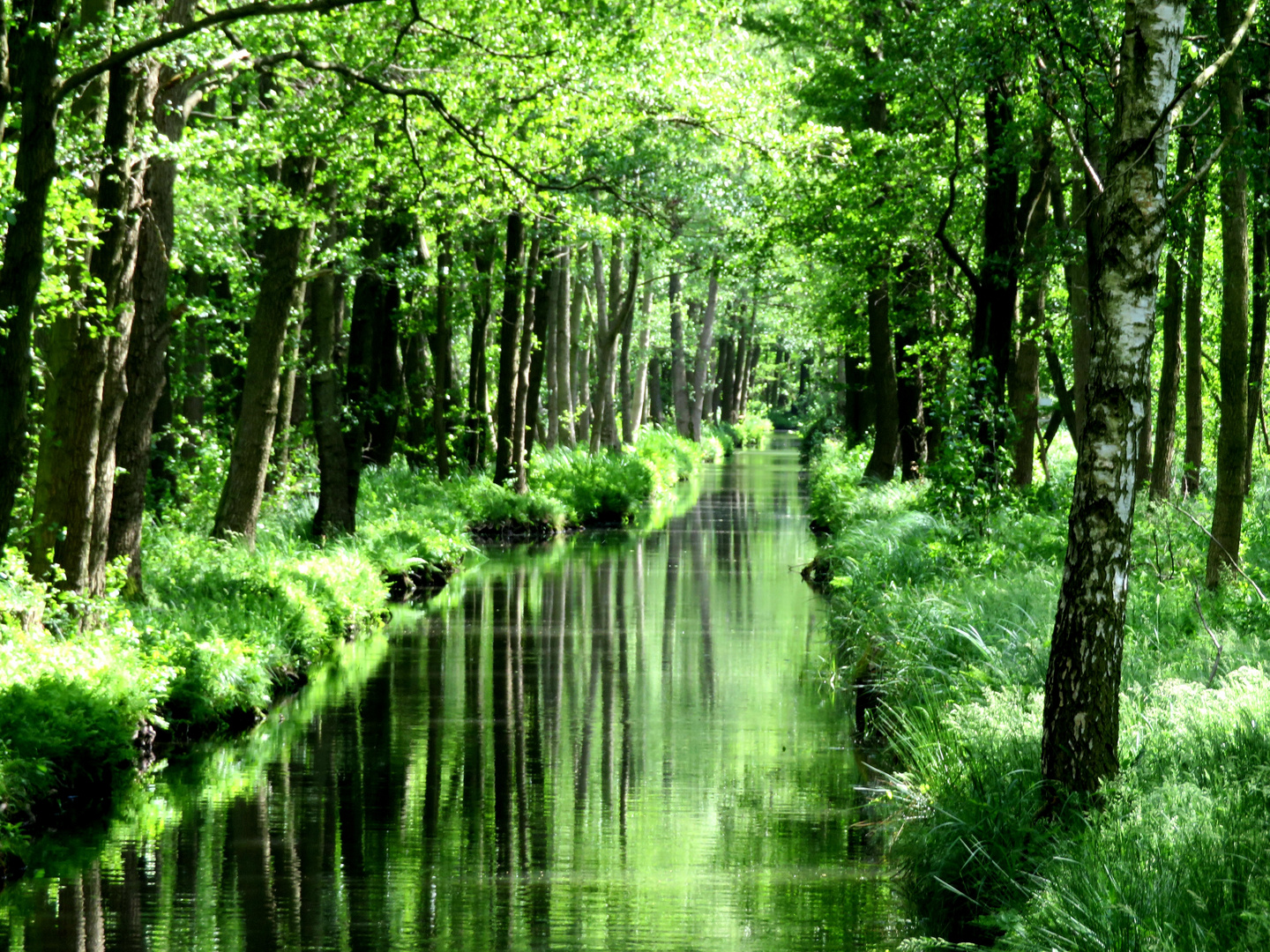 Spreewald Impressionen Foto & Bild | natur, landschaft, fluss Bilder ...