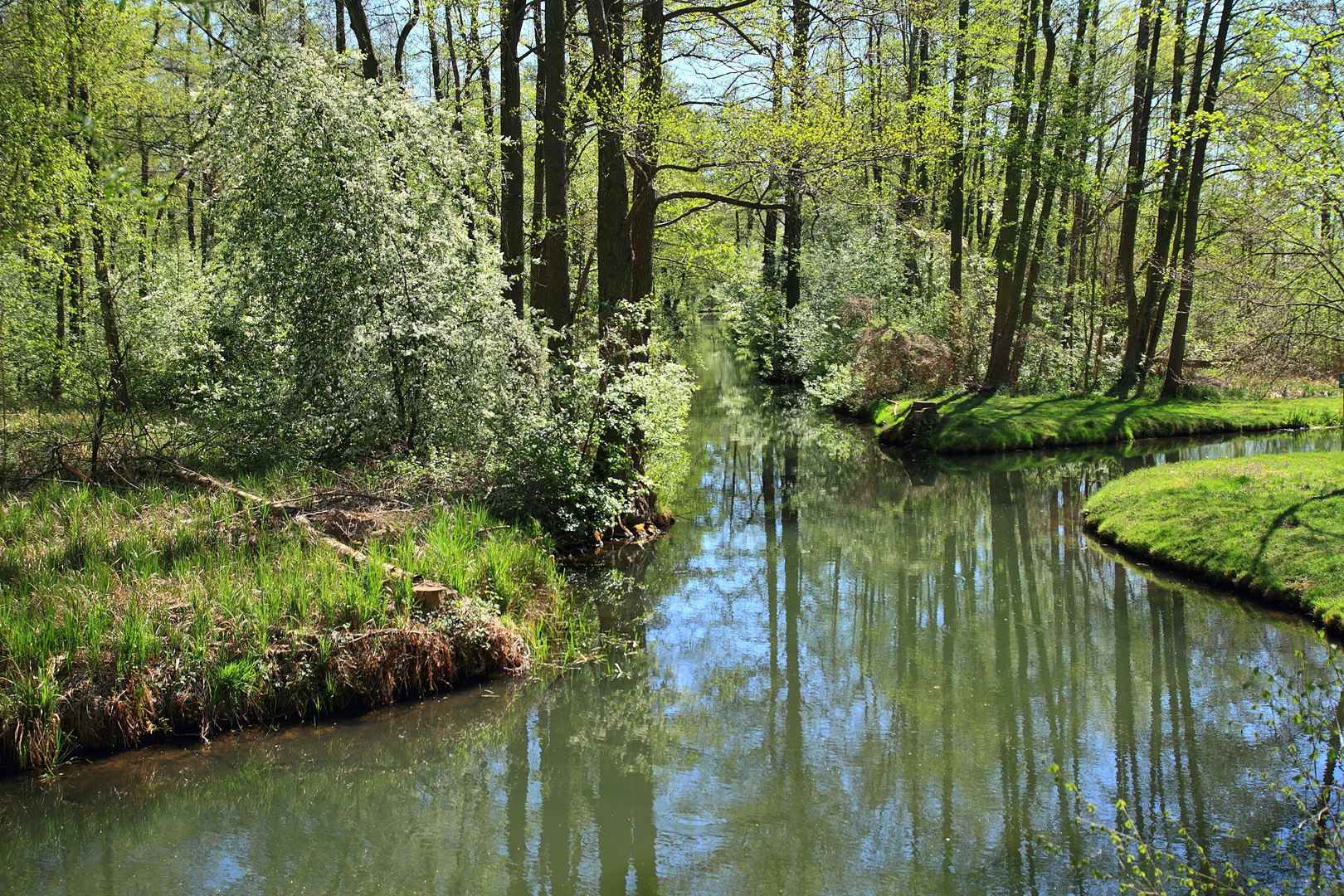...Spreewaldfrühling... Foto & Bild | frühling, spree, spreewald Bilder ...