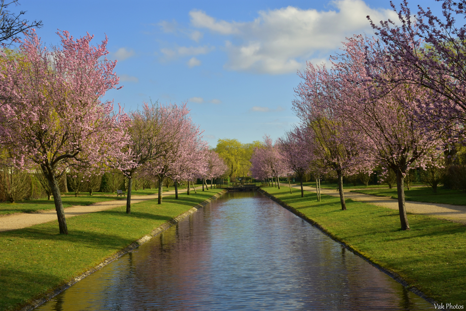 Spring photo et image | flowers, nature, water Images fotocommunity Spring photo et image | flowers, nature, water Images fotocommunity