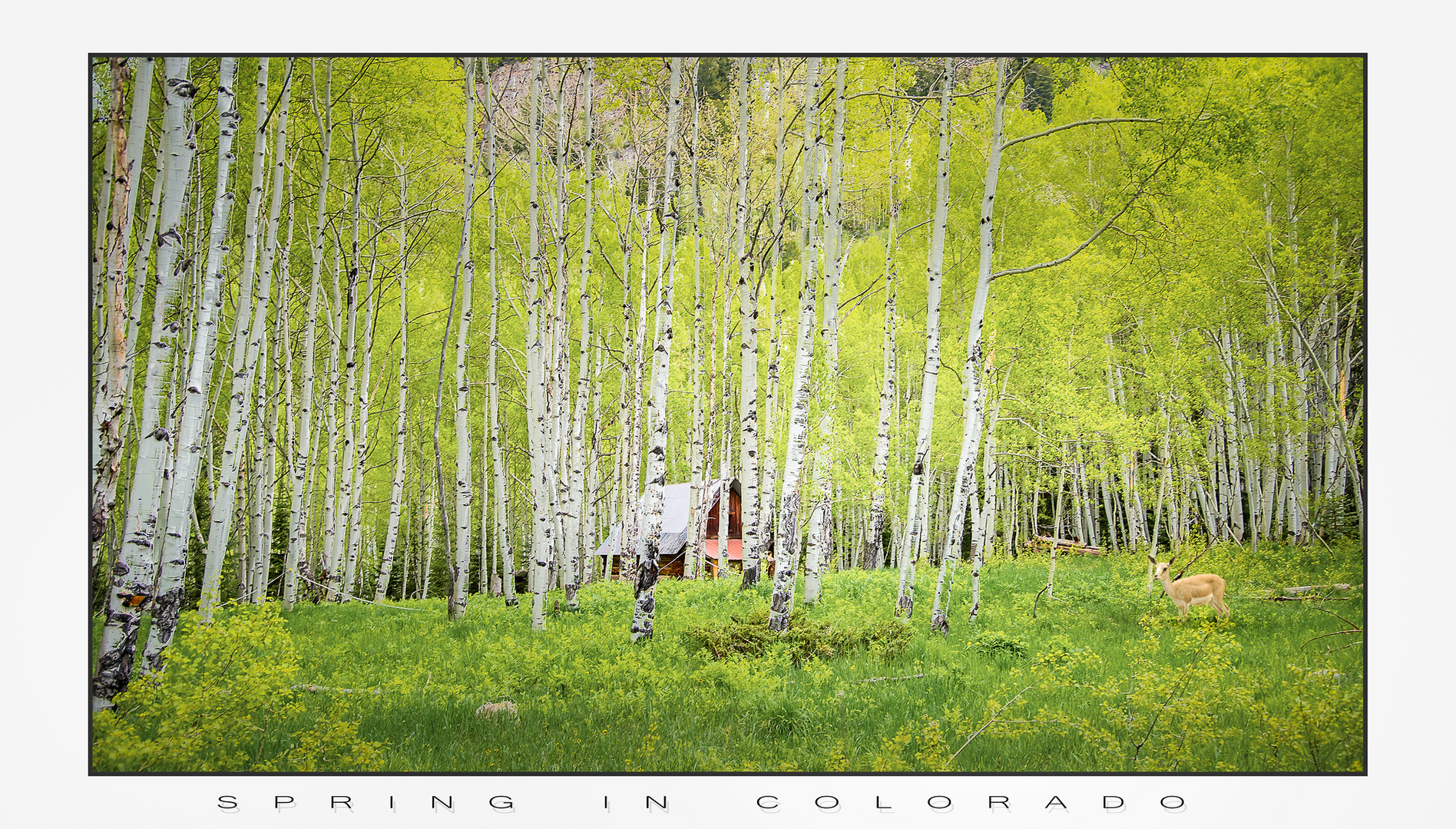 Spring in Colorado Foto & Bild | landschaft, natur-panorama, natur ...