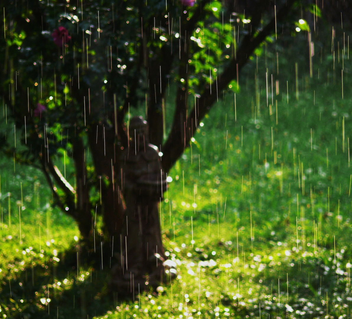 Pictures Of Spring Rain