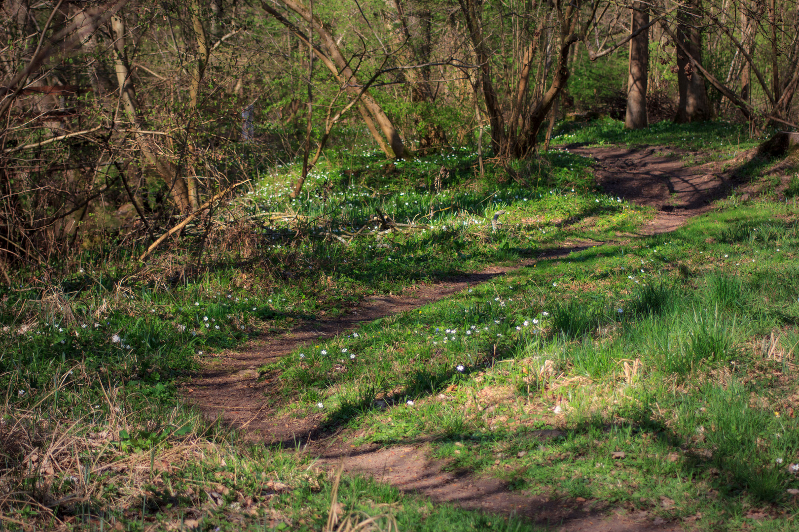 SPRING time Foto & Bild | jahreszeiten, frühling, elsass Bilder auf ...