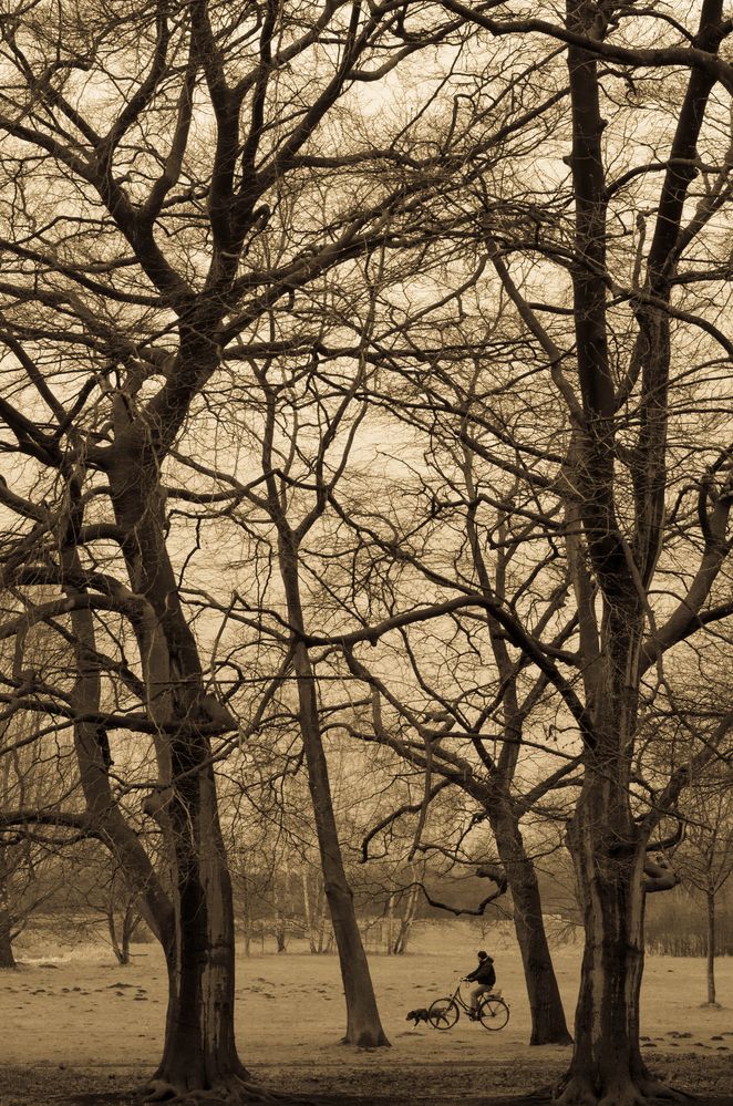 Spring, where are you? Foto & Bild | fotokunst, monochrome fine art ...