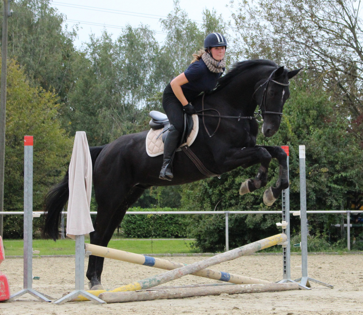 Springpferd Foto & Bild | sport, tiere, haustiere Bilder auf fotocommunity