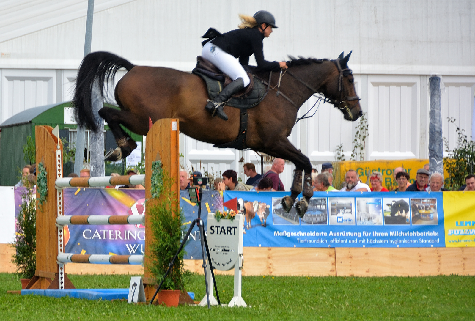 Springreiten 1 Foto & Bild | sport, erwachsene menschen, tiere Bilder ...