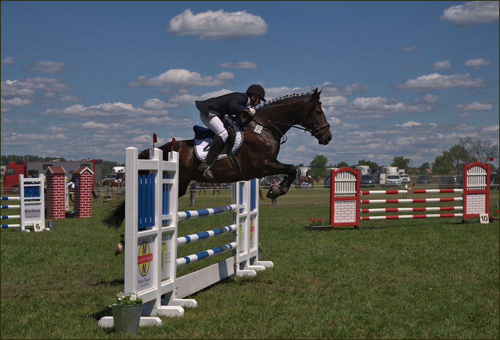 Springreiten Foto & Bild | sport, uckermark, brandenburg Bilder auf ...