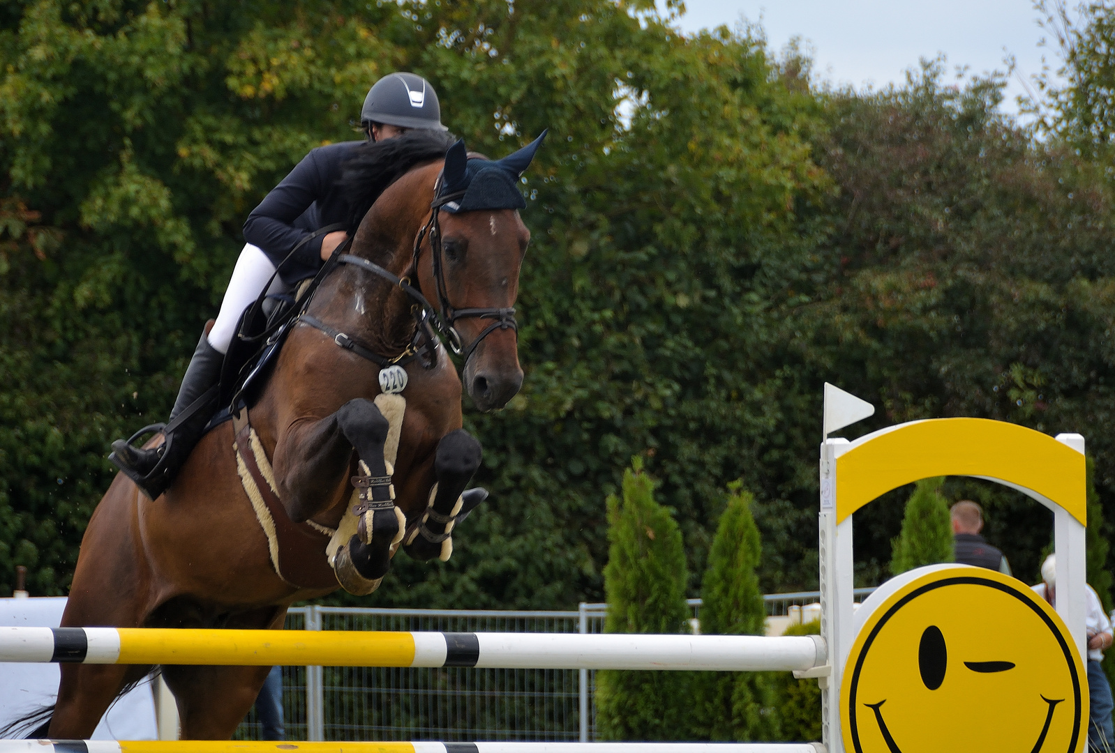 Springreiten 2 Foto & Bild | sport, erwachsene menschen, tiere Bilder ...