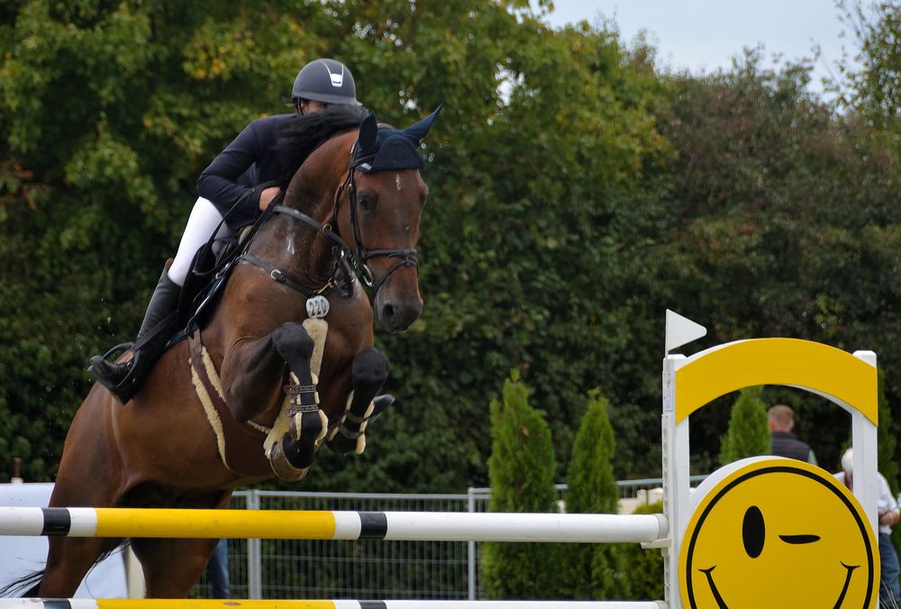 Springreiten 2 Foto & Bild | sport, erwachsene menschen, tiere Bilder ...