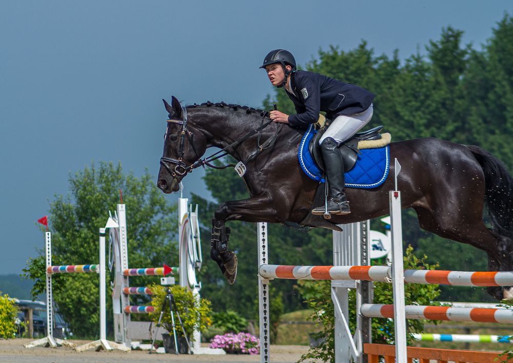 Springreiten Foto & Bild | sport, erwachsene menschen, sport mit tieren ...