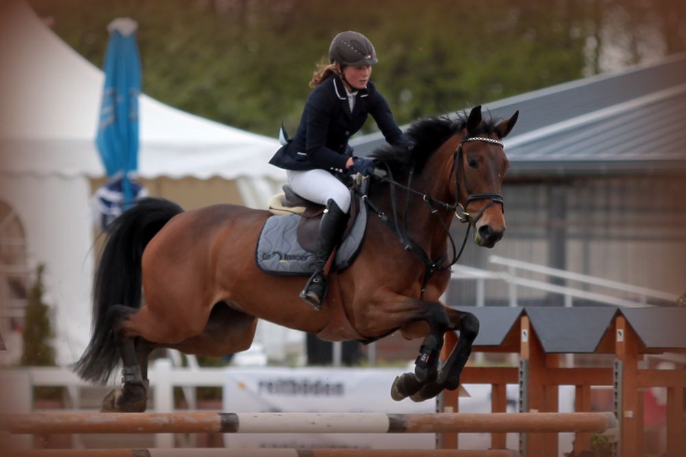 Springreiten 3 Foto & Bild | sport, sport mit tieren, pferdesport ...