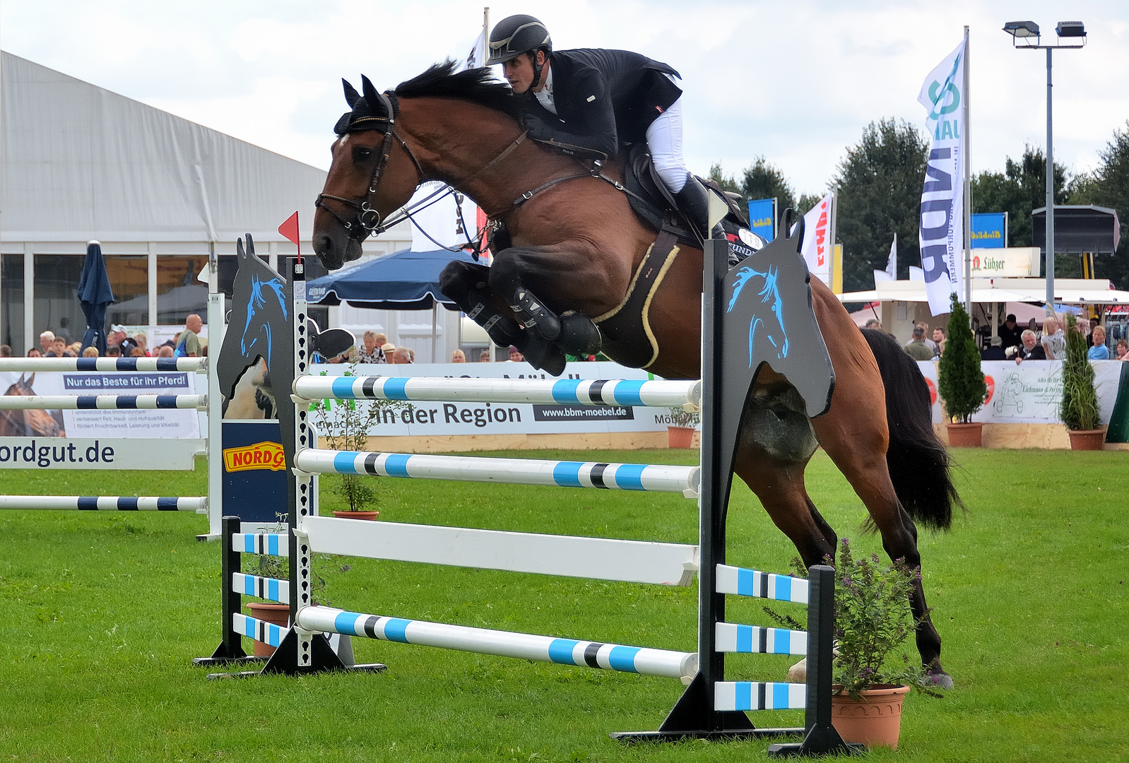 Springreiten 5 Foto & Bild | sport, erwachsene menschen, tiere Bilder auf fotocommunity