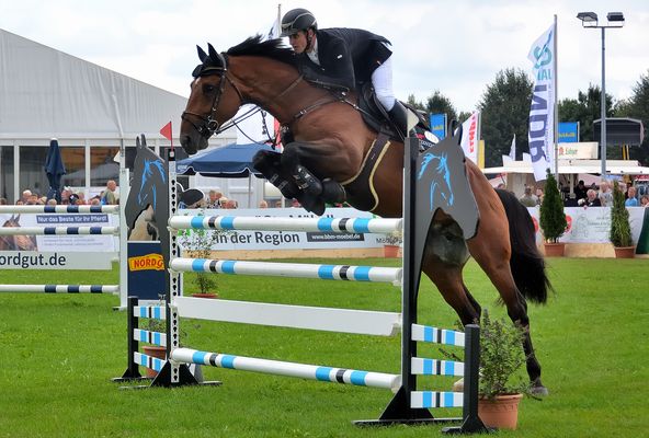 Turniersport Bilder & Fotos