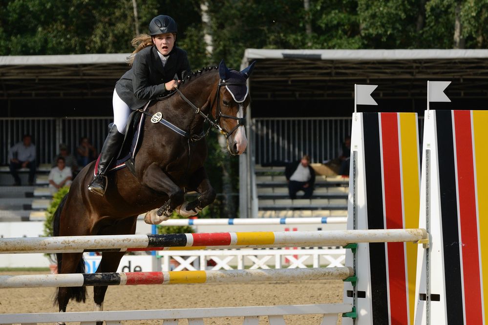 Springreiterin Foto & Bild | sport, sport mit tieren, pferdesport ...