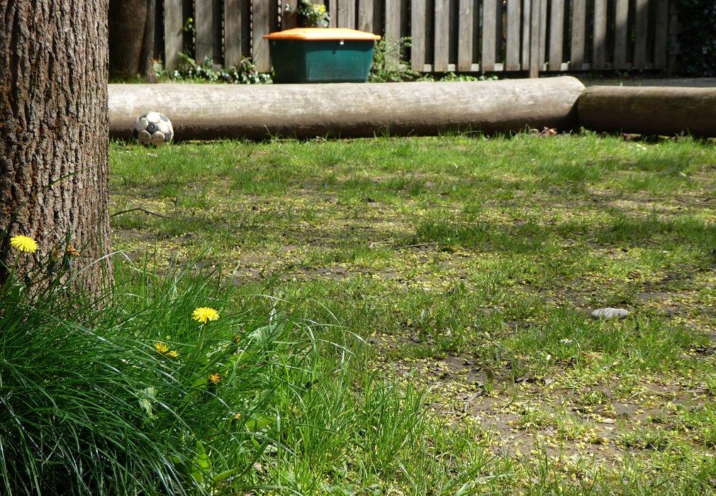 Springt im Dreieck Foto & Bild | schatten, blumen, löwenzahn Bilder auf ...