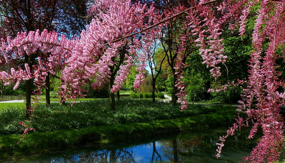 Springtime photo & image | landscape, seasons, spring images at photo ...