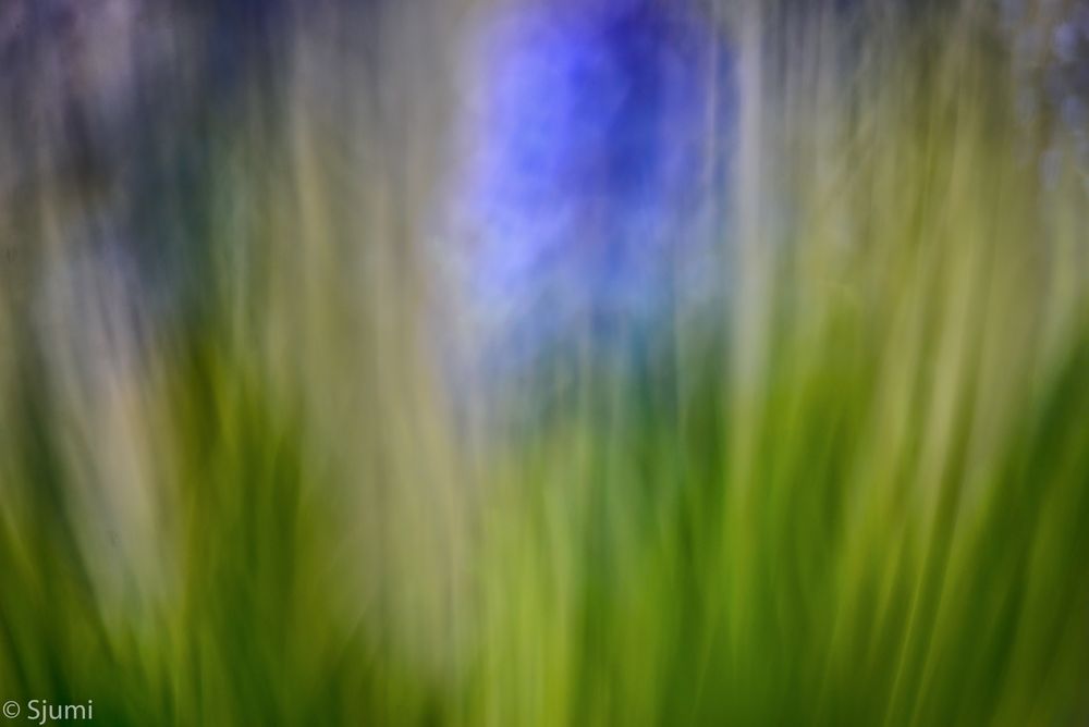 Springtime magic Foto & Bild | jahreszeiten, frühling, natur-kreativ ...