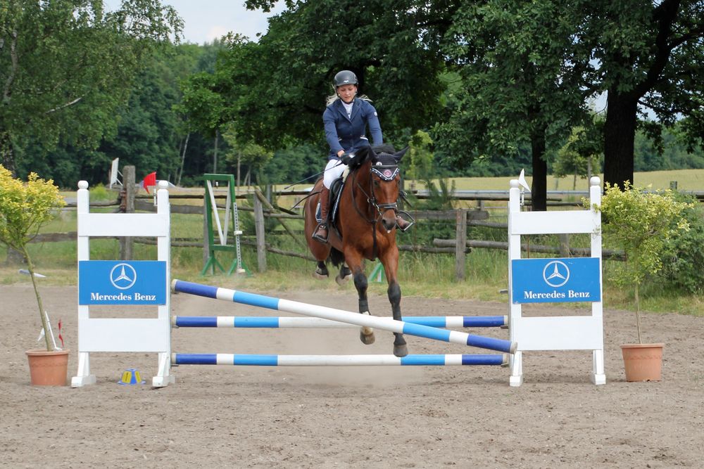 Springturnier (4) Foto & Bild | sport, sport mit tieren, pferdesport ...