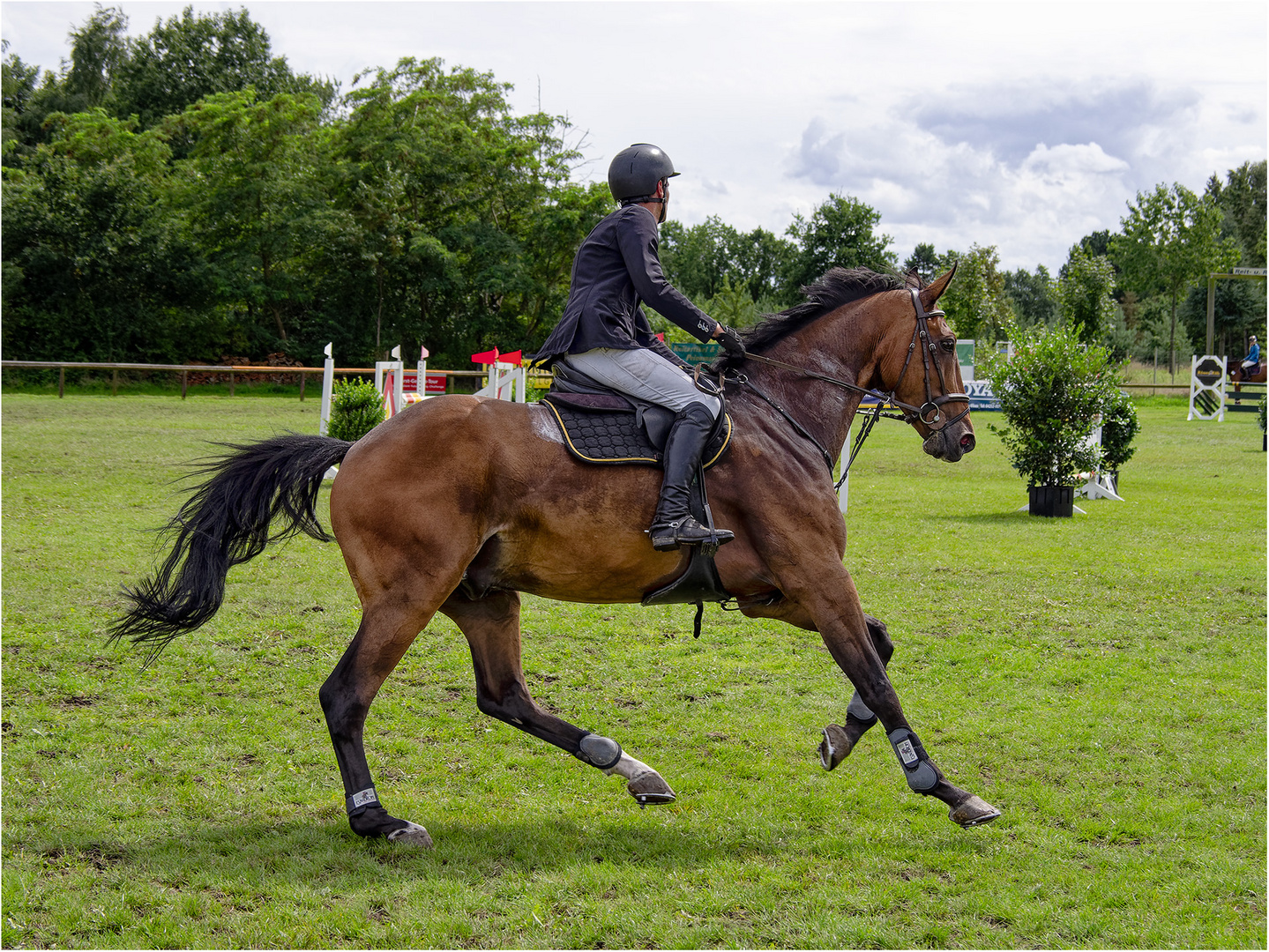 Springturnier beim RRV Schwarme Foto & Bild | sport, people, reiter ...