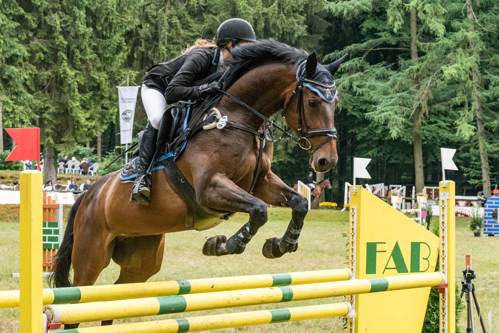 Springturnier RV Eicherhof e.V. Bergisch Gladbach Foto & Bild | pferde, pferdesport ...