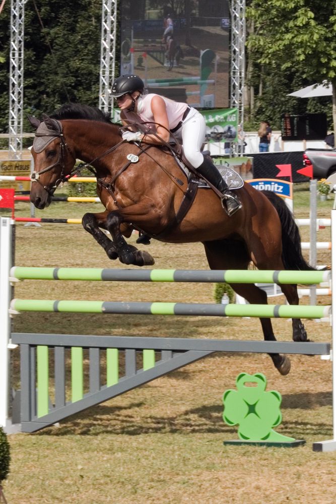 Sprung Foto & Bild | sport, parkour, reitsport Bilder auf fotocommunity