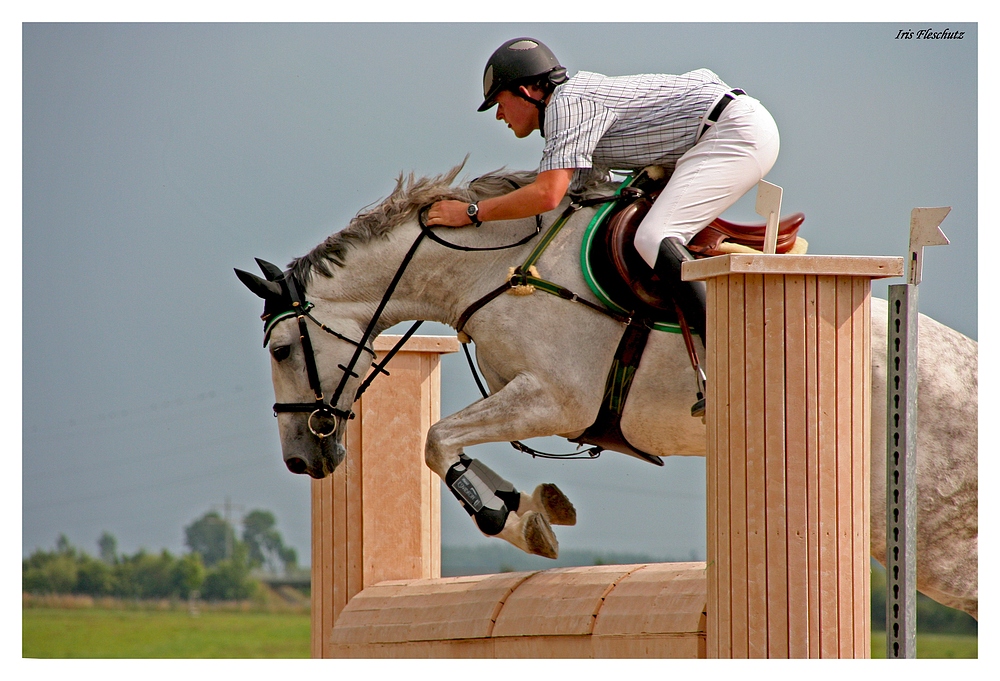 Sprung... Foto & Bild | tiere, haustiere, pferde, esel, maultiere ...