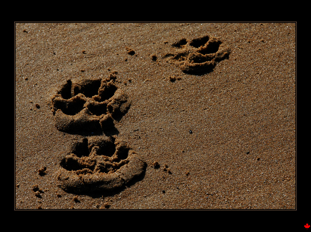 Spuren hinterlassen Foto & Bild | stillleben, zufällige arrangements, motive Bilder auf ...