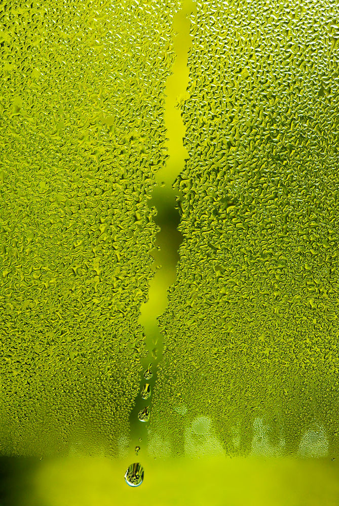 Spuren hinterlassen Foto & Bild | natur, wetter, regenfotos Bilder auf fotocommunity